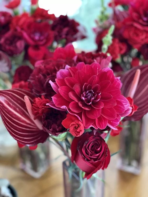 Viva Magenta culoarea anului 2023 | Sinziana Radulescu